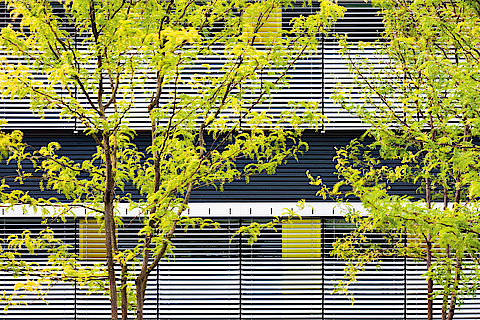 Finanzamt Polizei Geldern - Legner Van Ooyen | Jens Willebrand ...